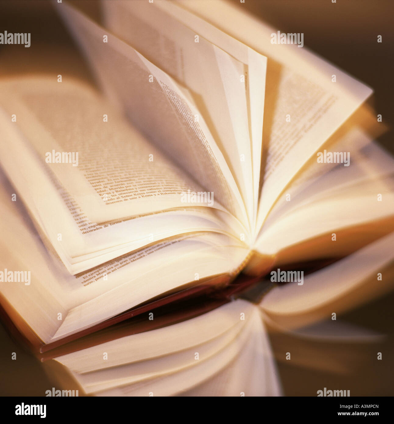 open book on shiny surface showing reflection of book underneath Stock ...