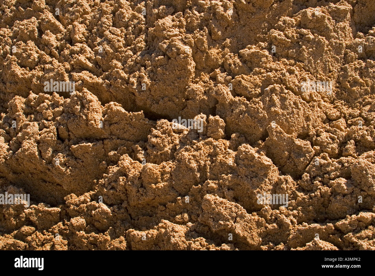 Close up of processed soft golden sand stock after quarrying from ...