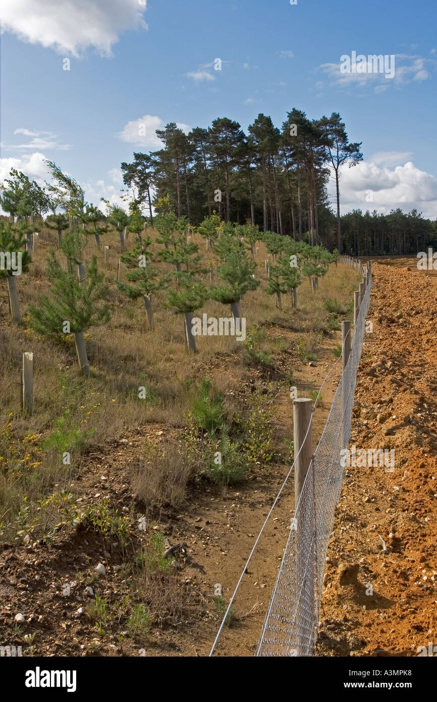Restored landscapeof former gravel pit Stock Photo - Alamy