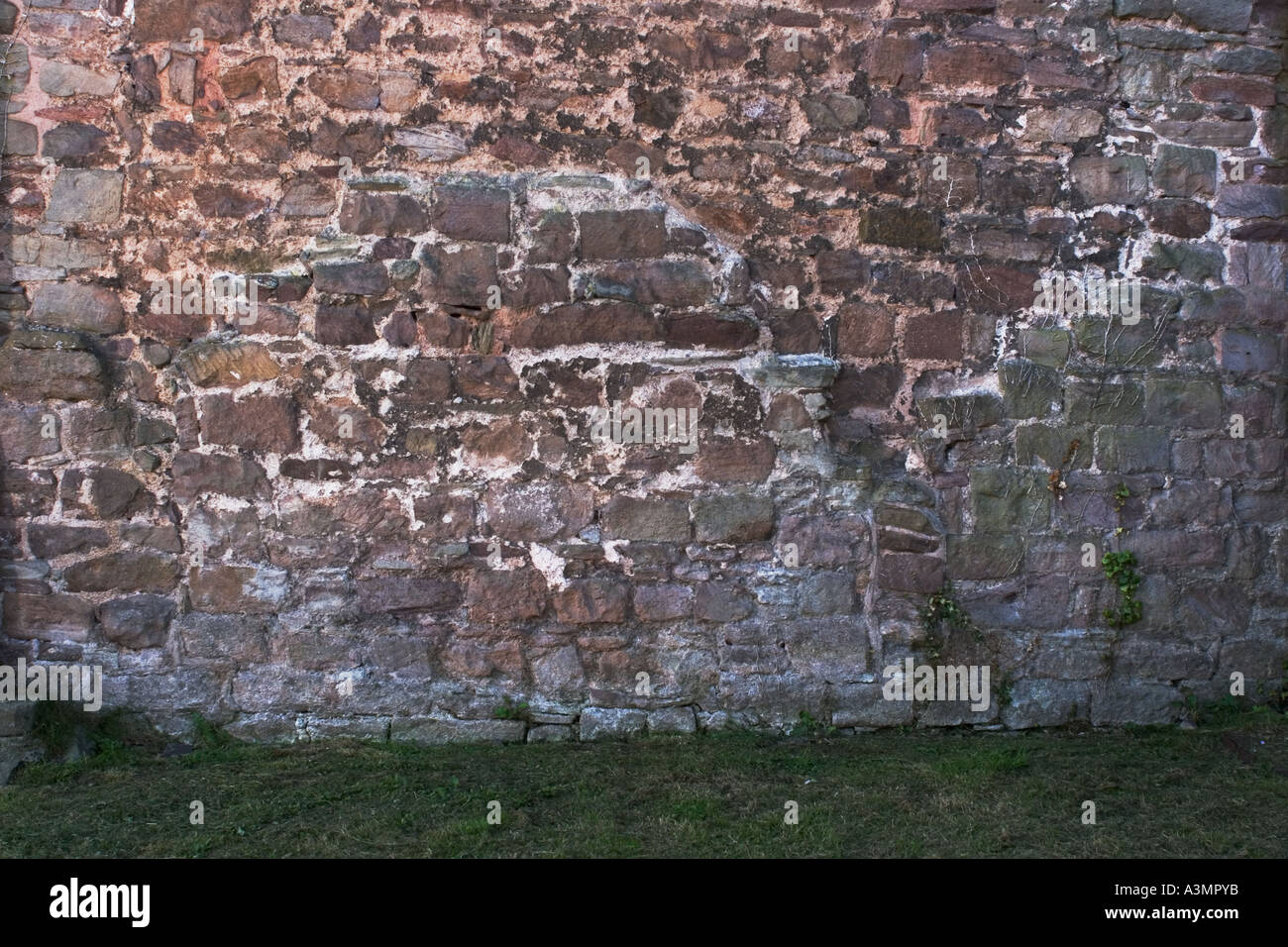 The Priory Church of St Peter and St Paul, Leominster. Cloister shadow ...