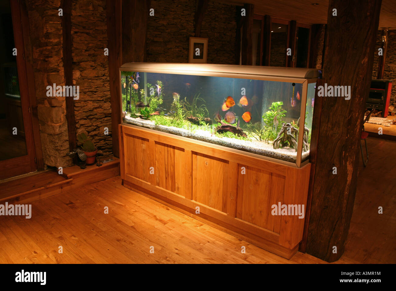 Fishtank room hi-res stock photography and images - Alamy