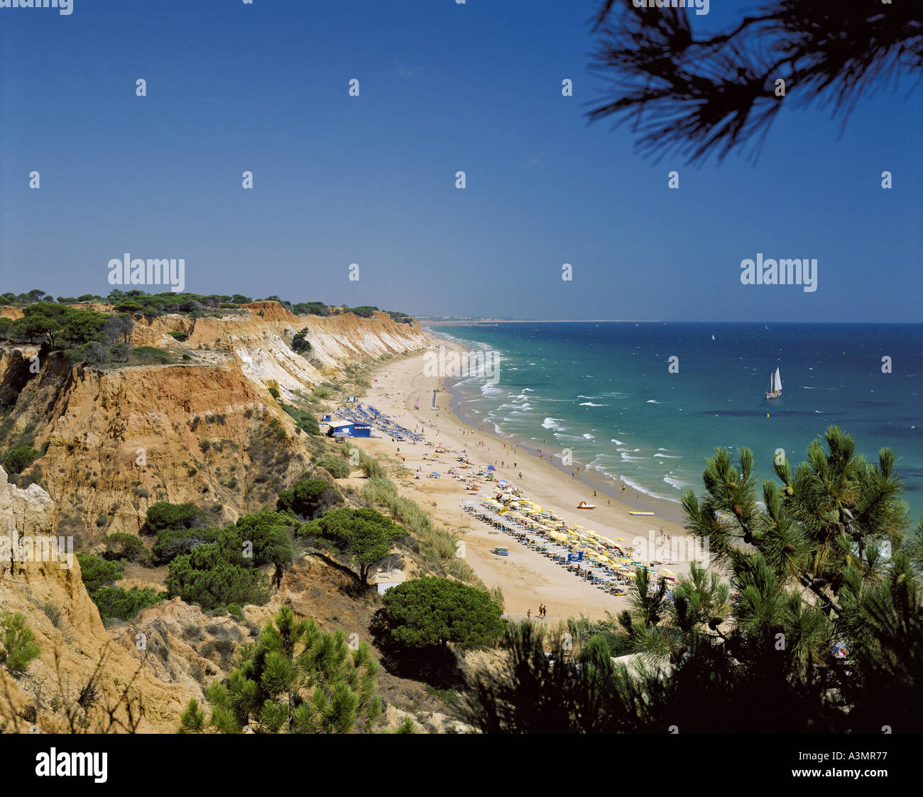 Portugal, the Algarve, Falesia beach, seen from cliffs through pine ...