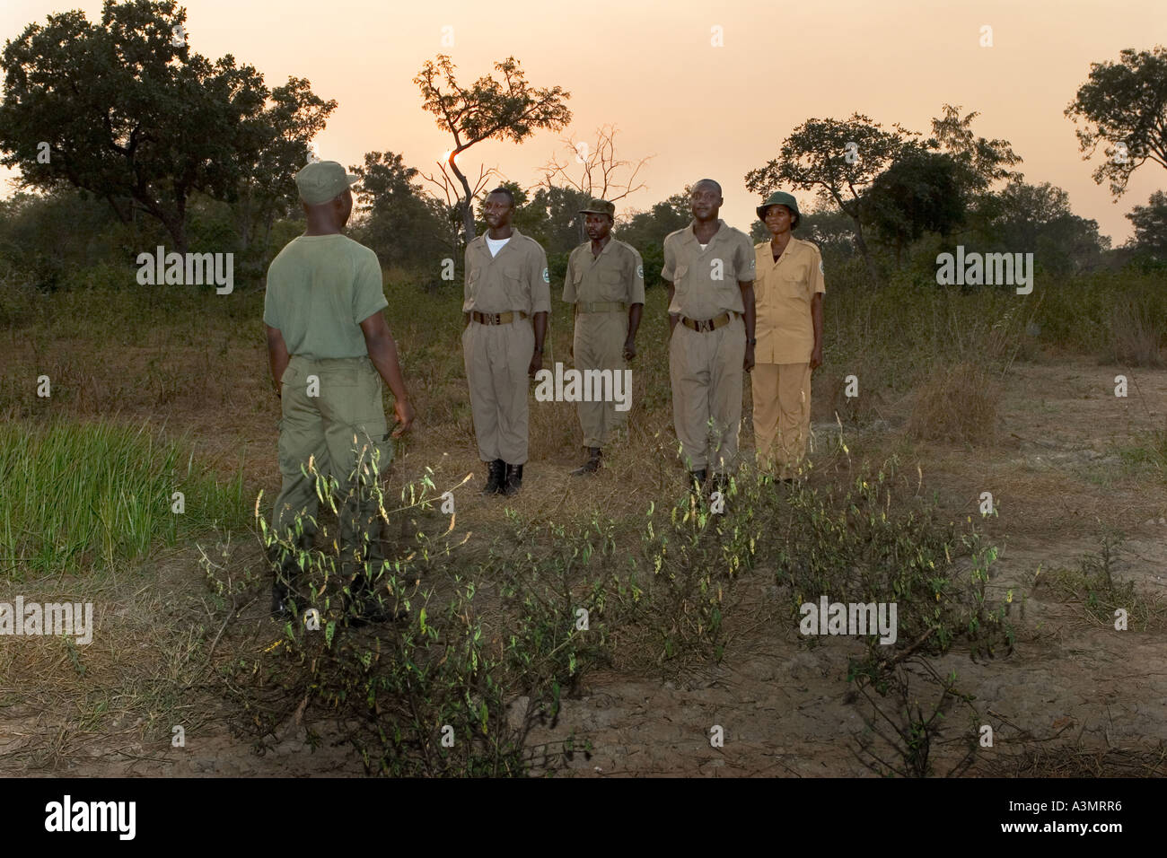 Park patrol team practising drill before going out on patrol in Mole ...