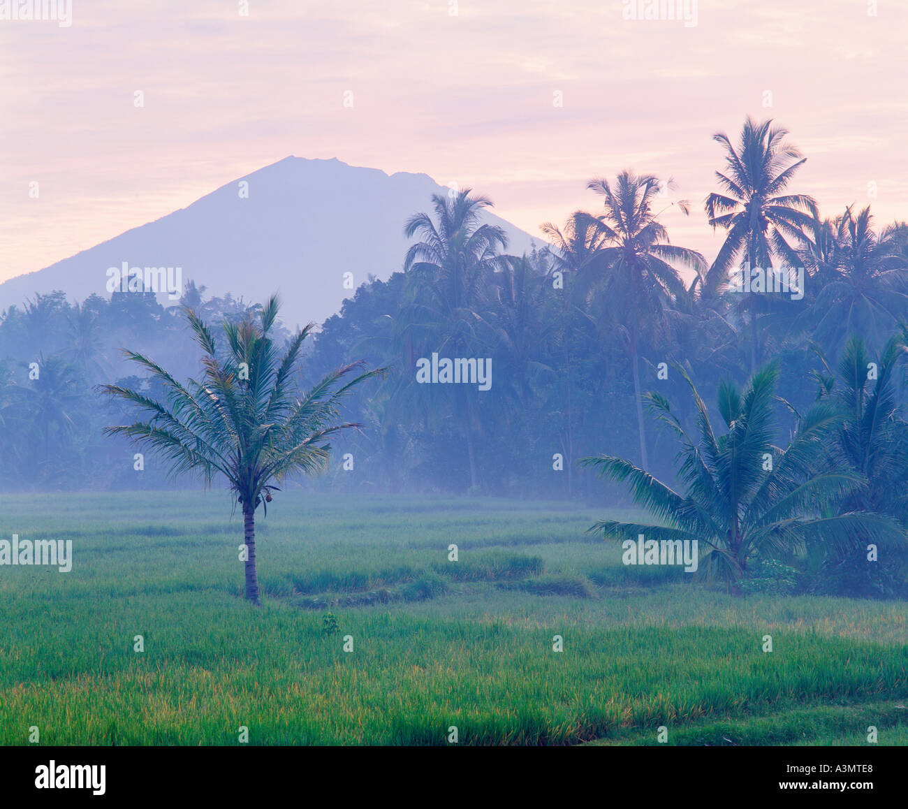 Mt Agung Bali s highest mountain and most active volcano seen across ...