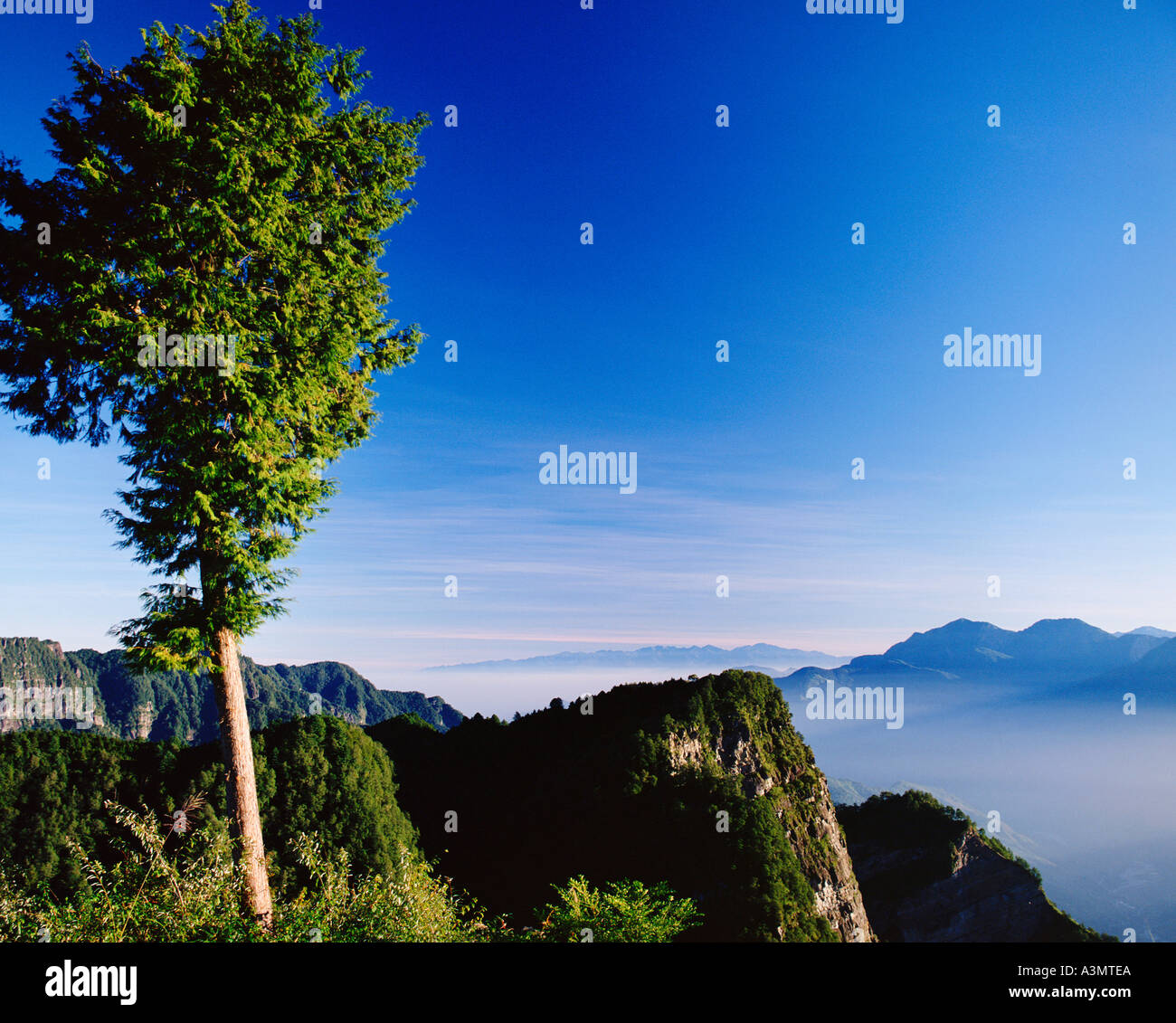 Alishan national scenic area hi-res stock photography and images - Alamy