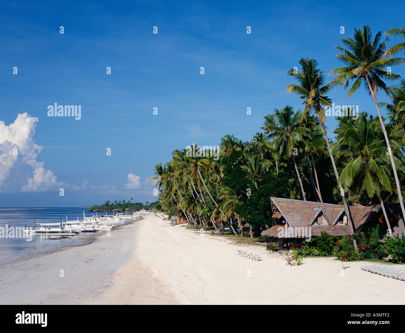 A view of Alona Beach in morning sunlight Panglao Island Bohol ...