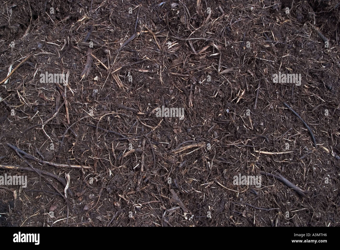 Close up of graded commercial compost or humus showing crumbly texture ...
