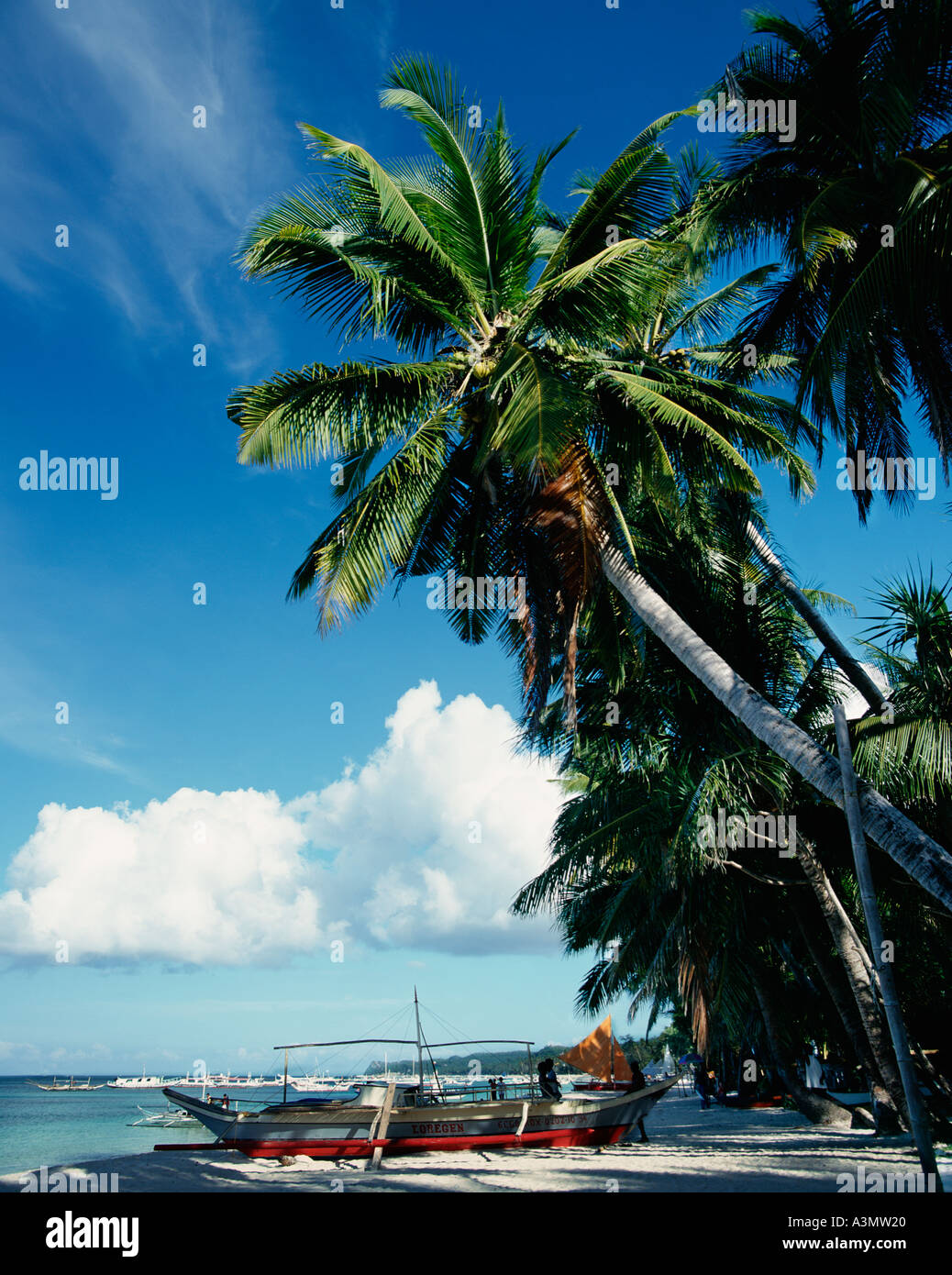 Boats coconut palm trees on White Beach Boracay Island Panay ...