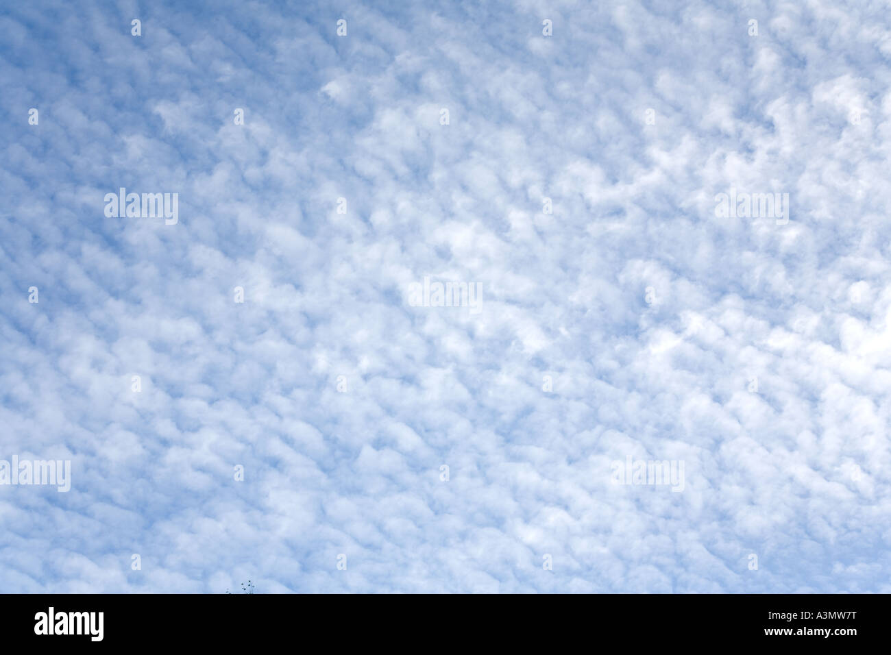 Repeating same form hi-res stock photography and images - Alamy