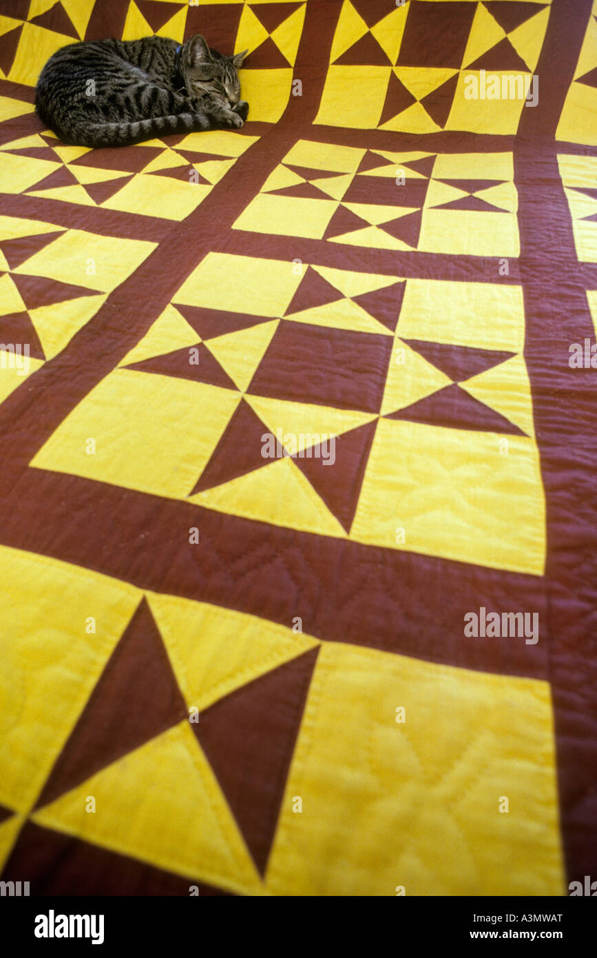 early american antique pieced quilt vivid red yellow Ohio state pattern ...