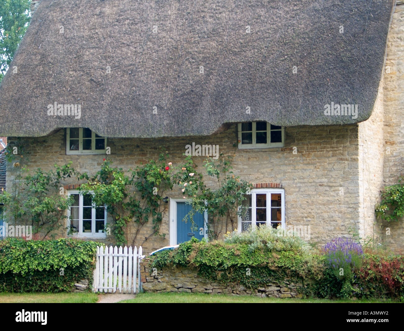 Traditional Thatched Cottage Little Haseley Oxfordshire England Great ...