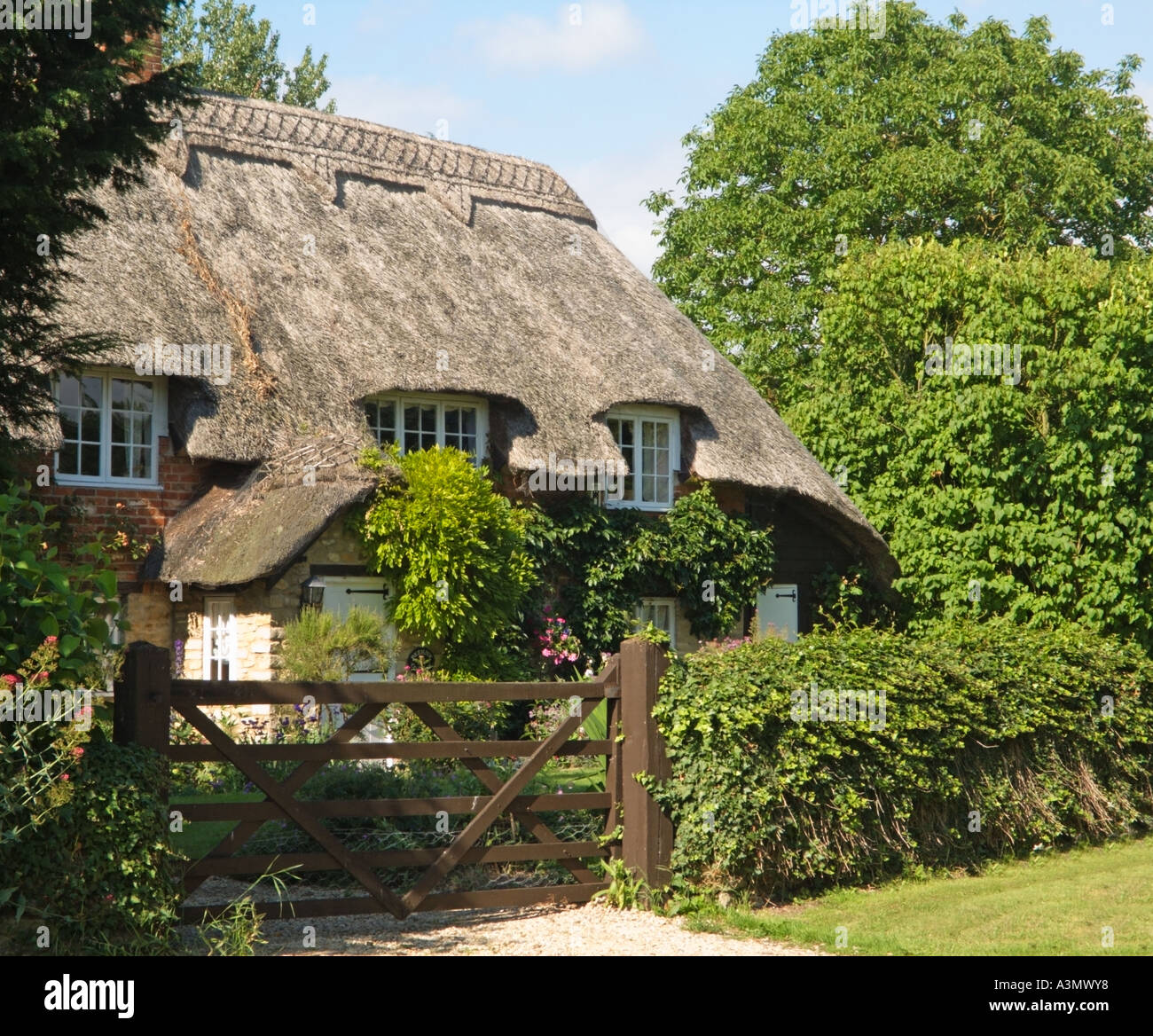 Traditional Thatched Cottage Little Haseley Oxfordshire England Great ...