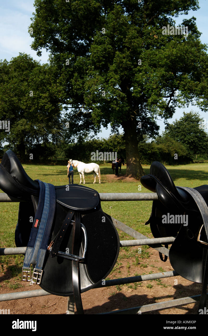Horse and rider in field outside Birmingham England Stock Photo - Alamy