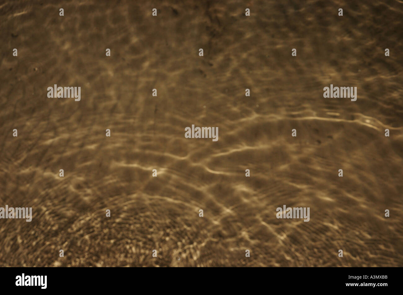 0919 hi-res stock photography and images - Alamy