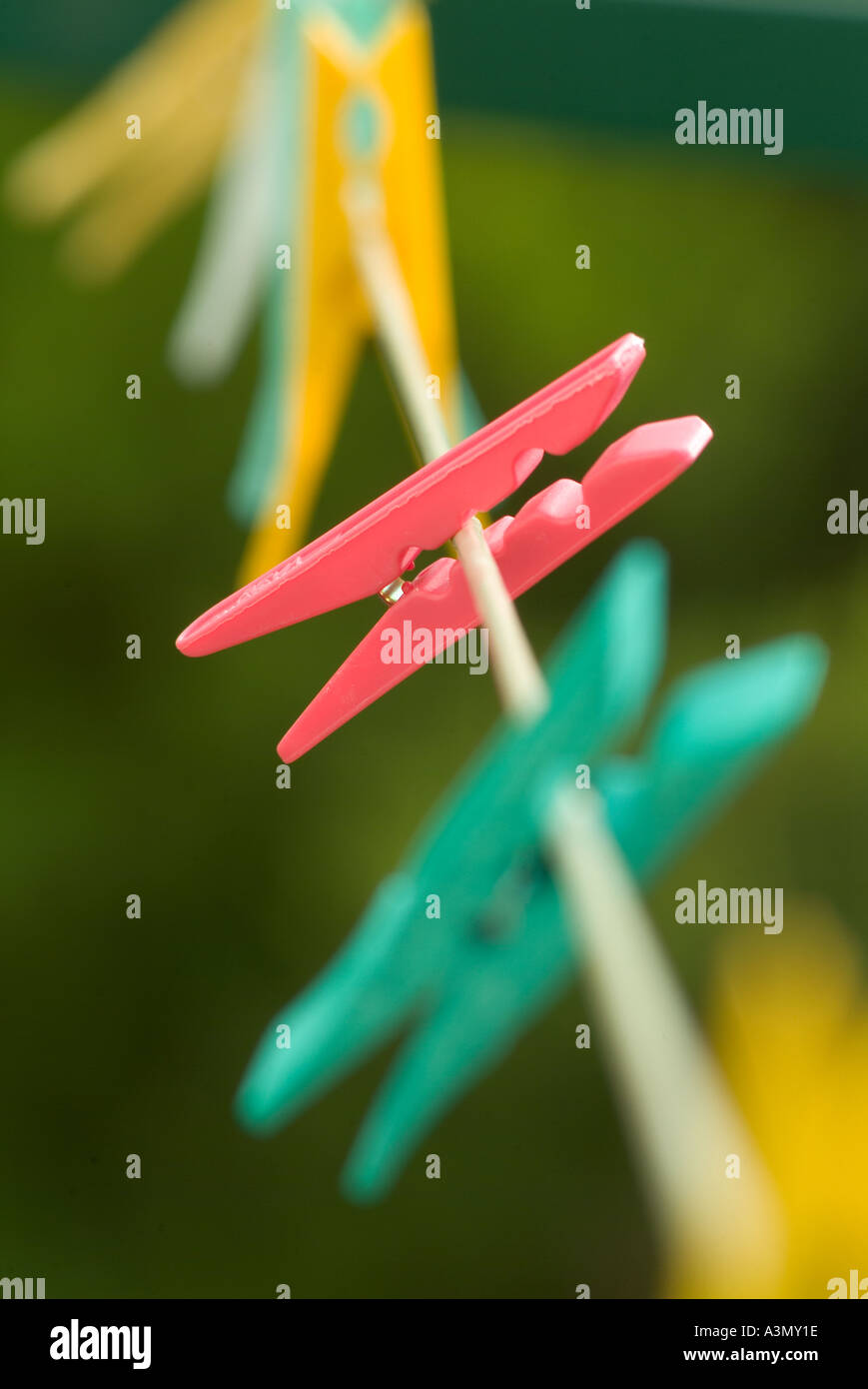 Clothes pegs on washing line Stock Photo - Alamy