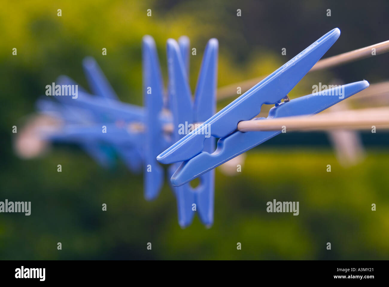 Clothes pegs on washing line Stock Photo - Alamy