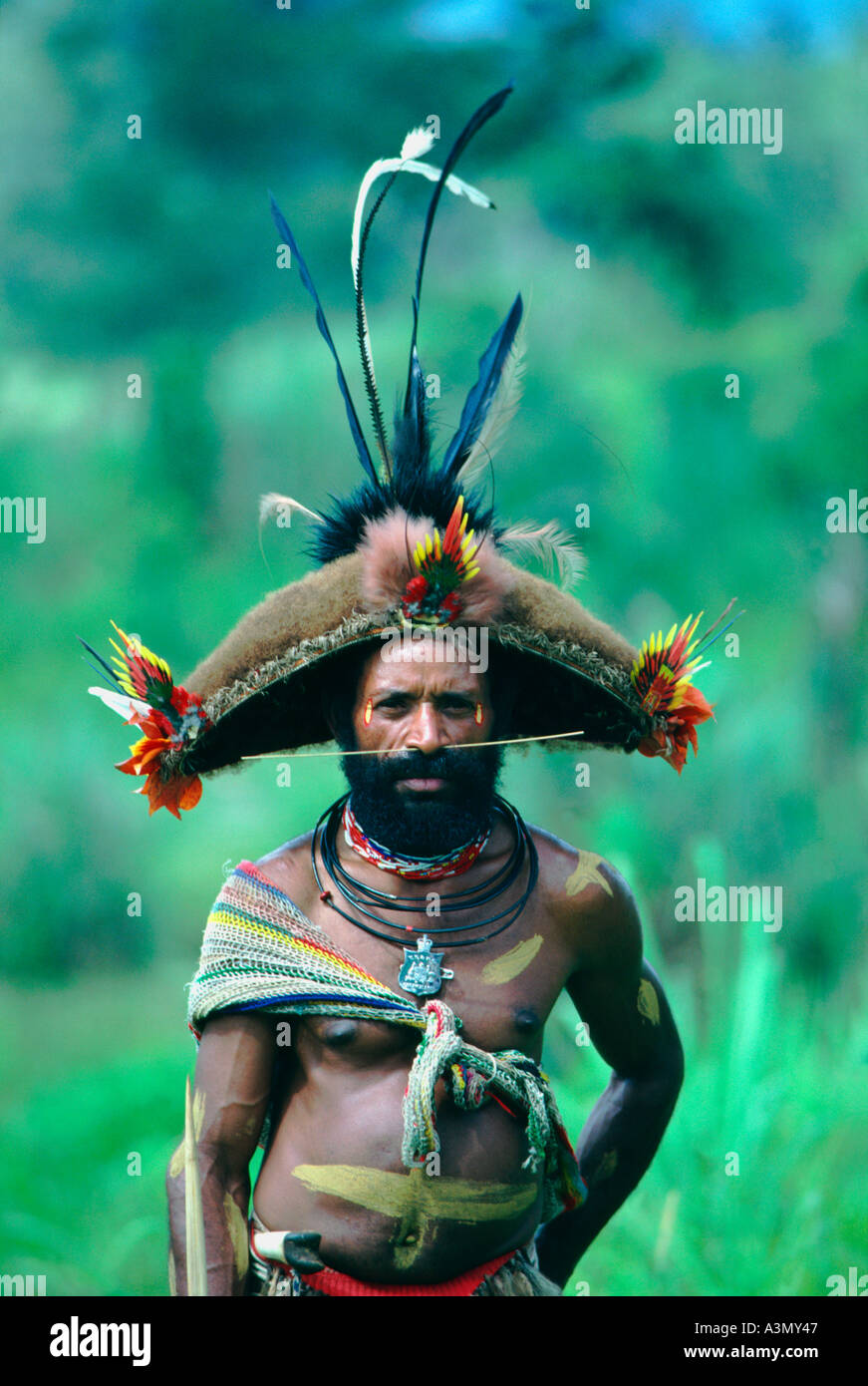 A Huli tribesman wearing the warrior s traditional human hair wig Tari ...