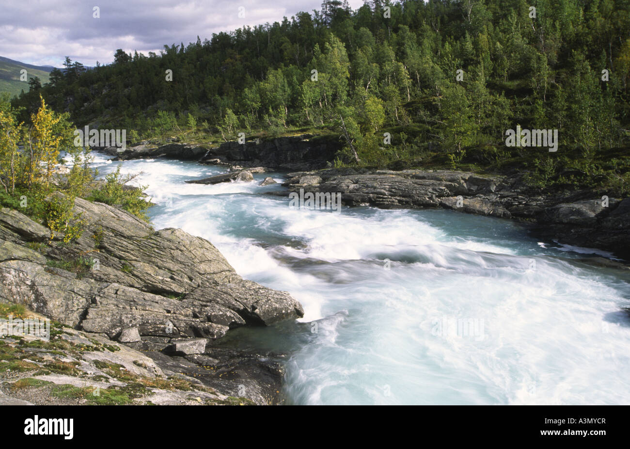 Flowing glacial meltwater stream in Norway Stock Photo - Alamy