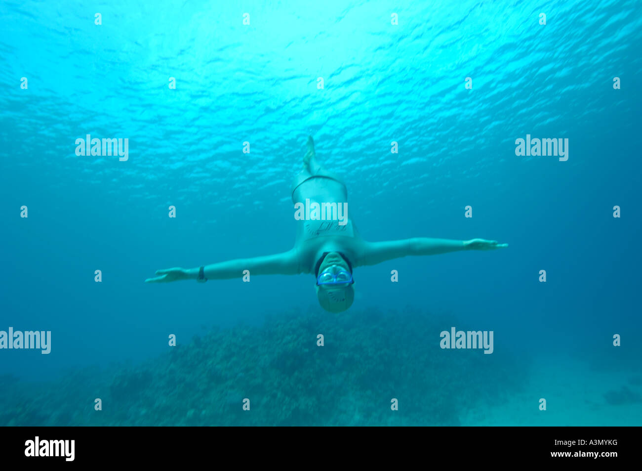 freediver Will Windrum Stock Photo - Alamy