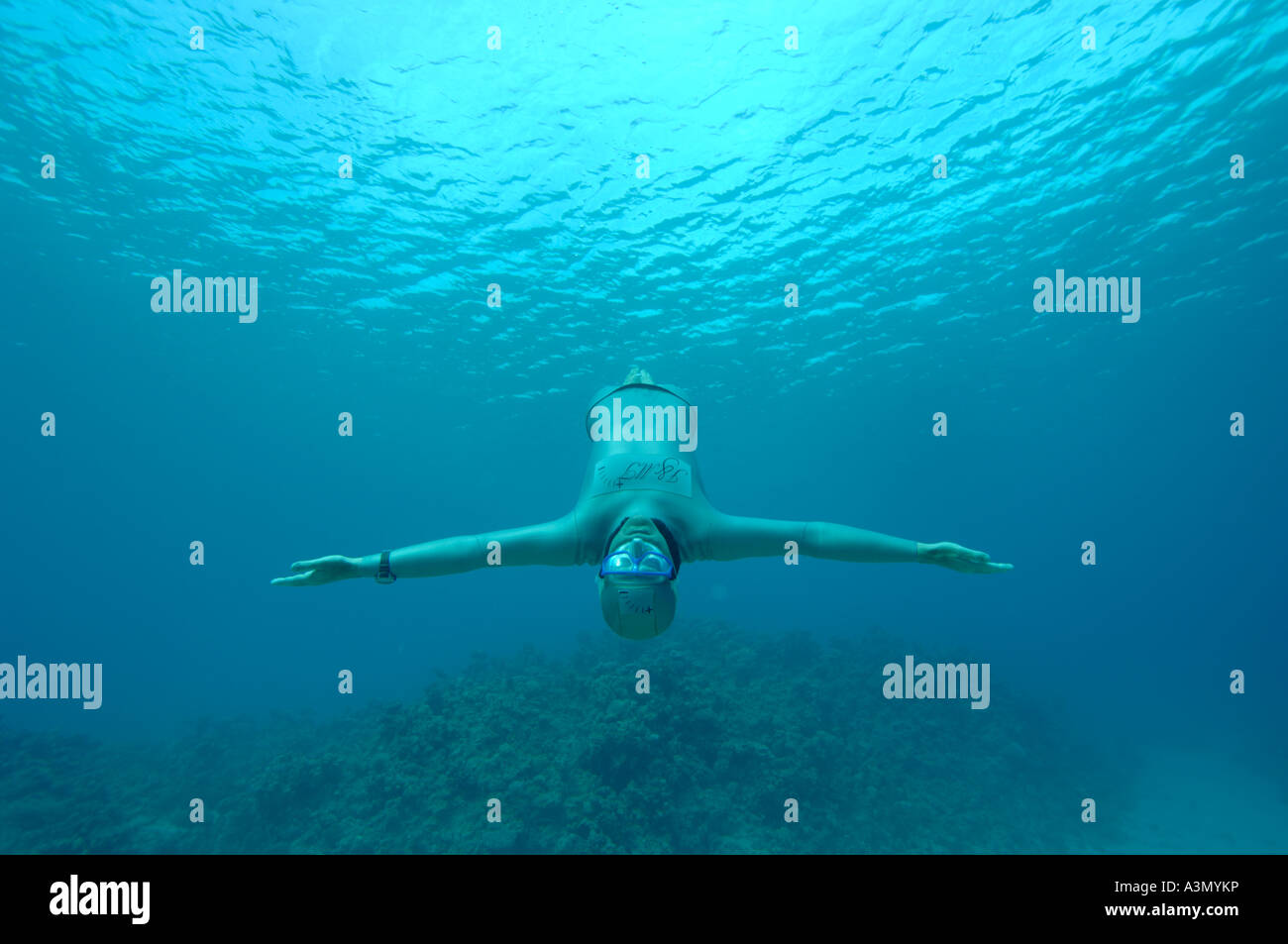 Will windrum hi-res stock photography and images - Alamy