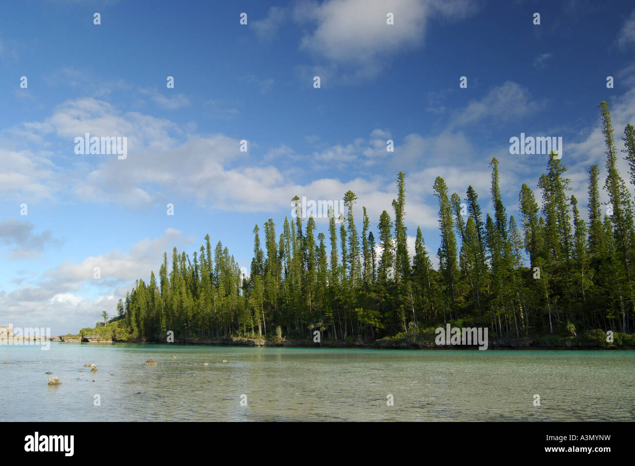 La piscine naturelle Ile de Pins New Caledonia with the unique pine ...