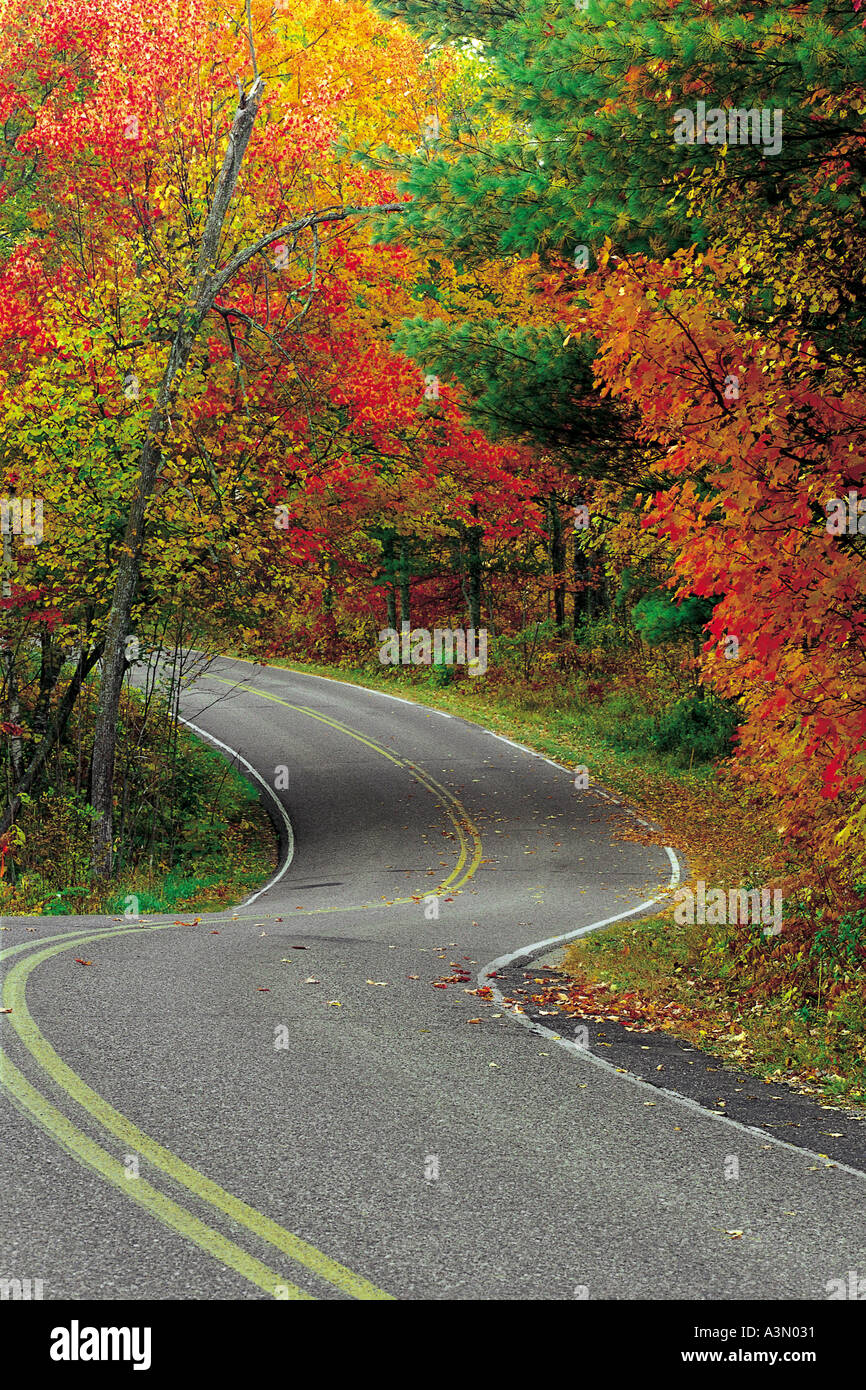 Road Nature Highway Forests Stock Photo - Alamy