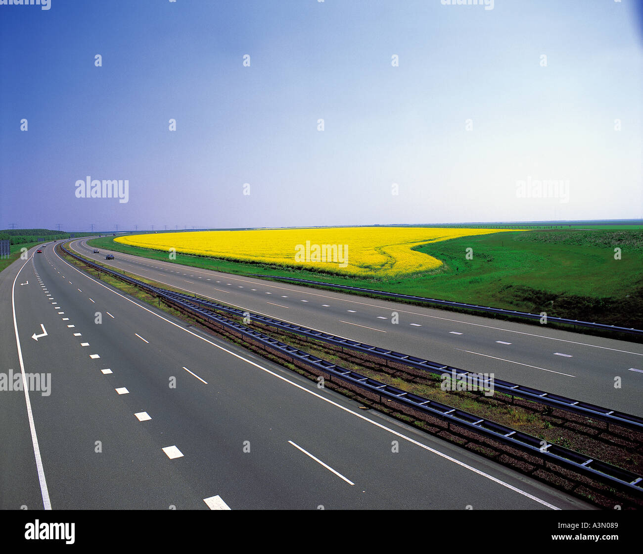 Road Transportation Nature Highway Cars Flowers Sky Fields of Flowers ...