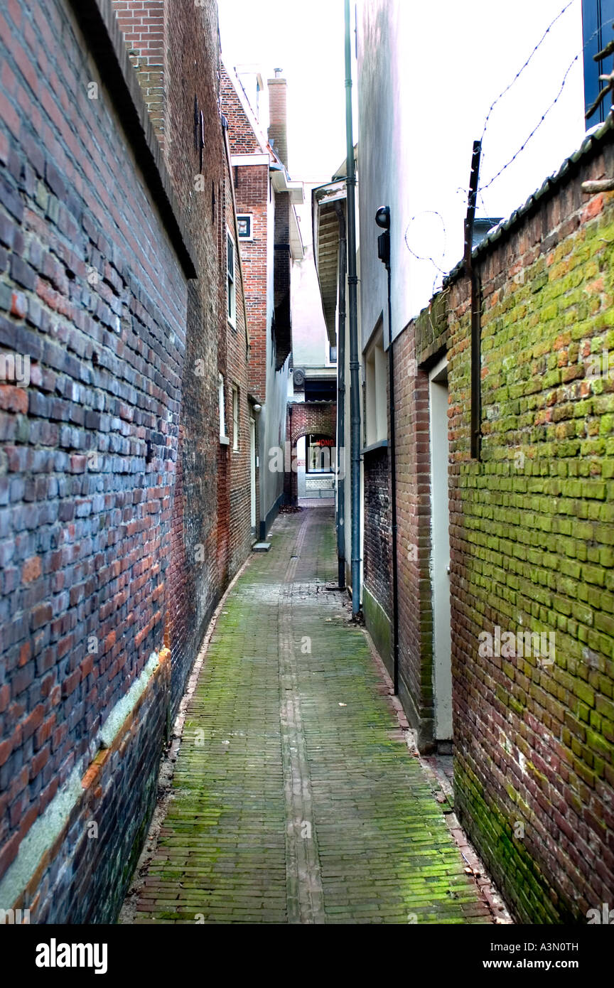 John Robinson pastor Pilgrim Fathers Pilgrims Father Leiden Mayflower ...