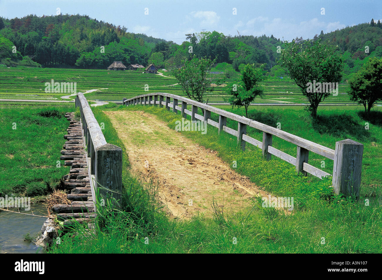 Architecture Nature Bridge Trees Forests Fields Stock Photo - Alamy