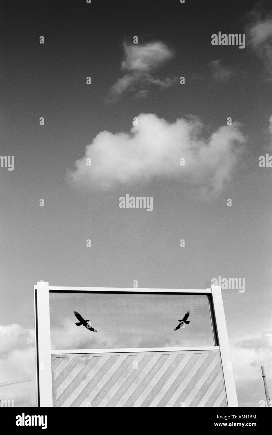 Acoustic panel hi-res stock photography and images - Alamy