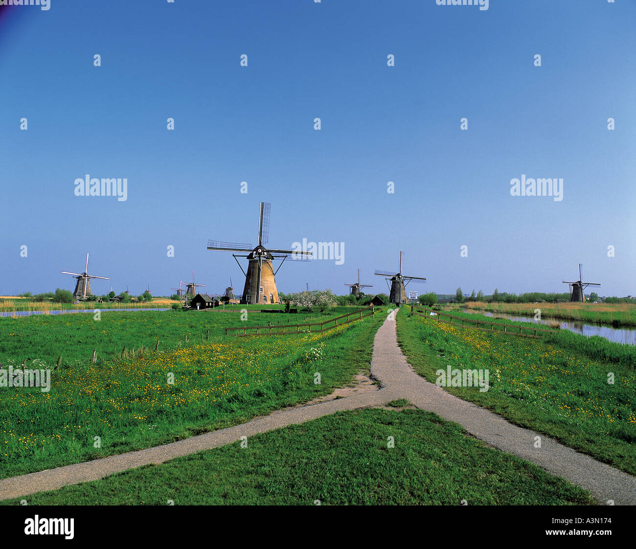 Water on path in the nature hi-res stock photography and images - Alamy