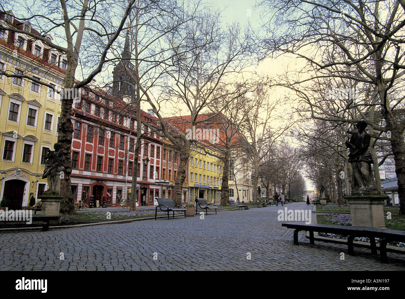 Road Building Street Trees Shops Stock Photo - Alamy