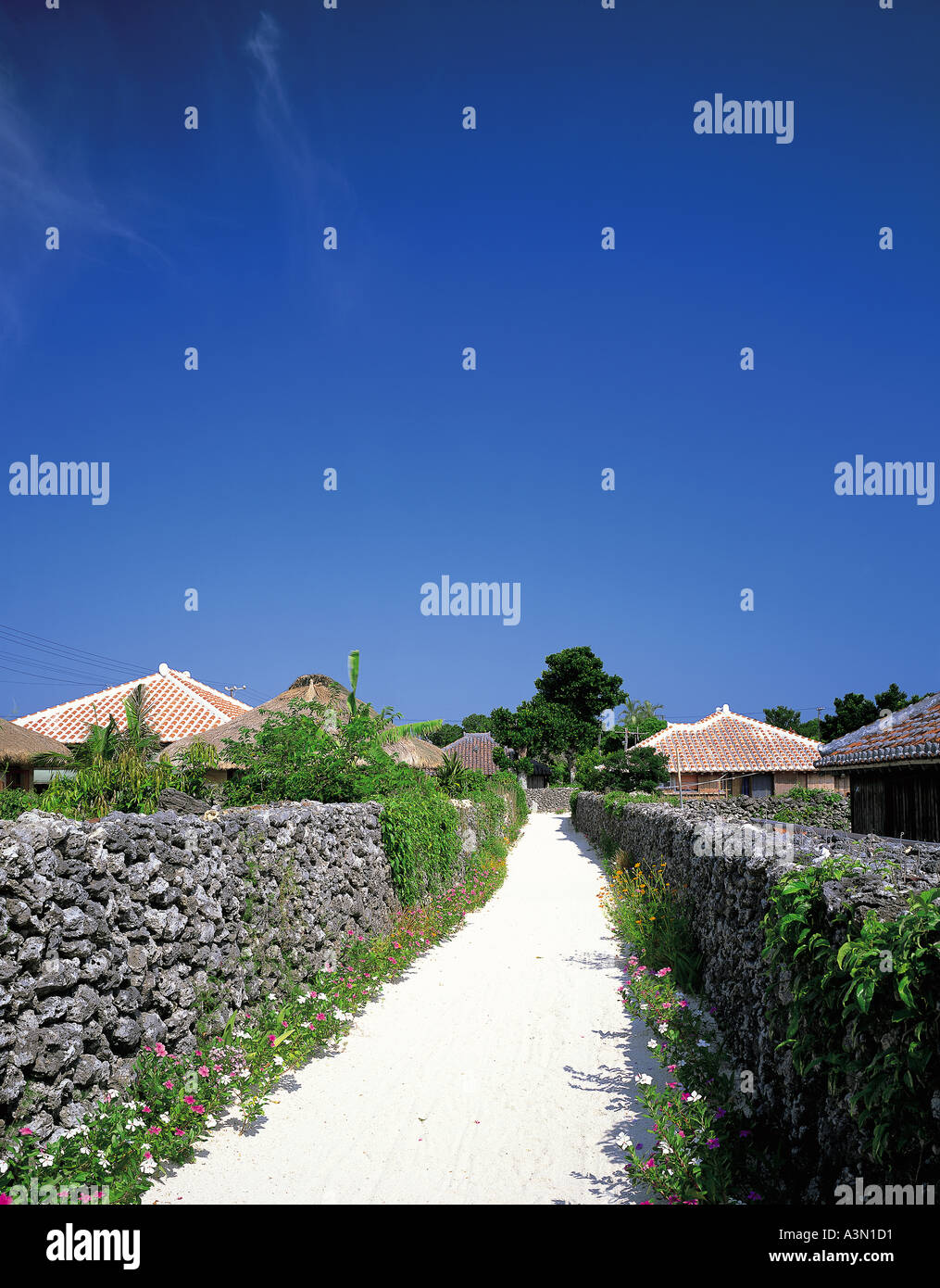 Future buildings with plants hi-res stock photography and images - Alamy