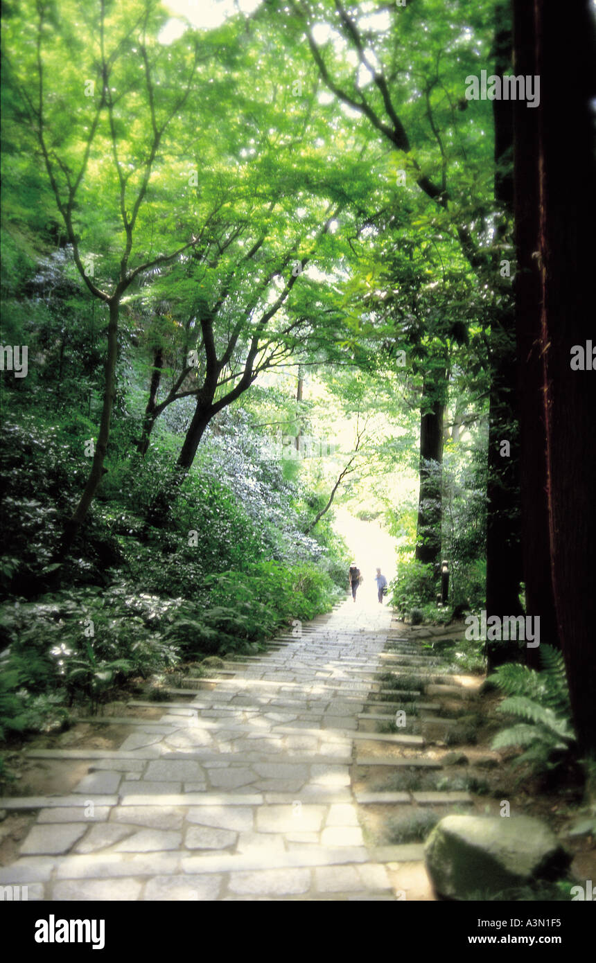 Nature Path Trees Street Stock Photo - Alamy