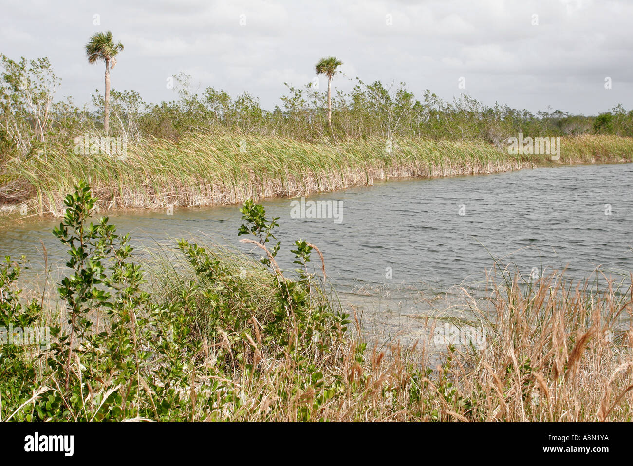 Miami Florida,Everglades National Park,Ernest Coe Visitors Center ...
