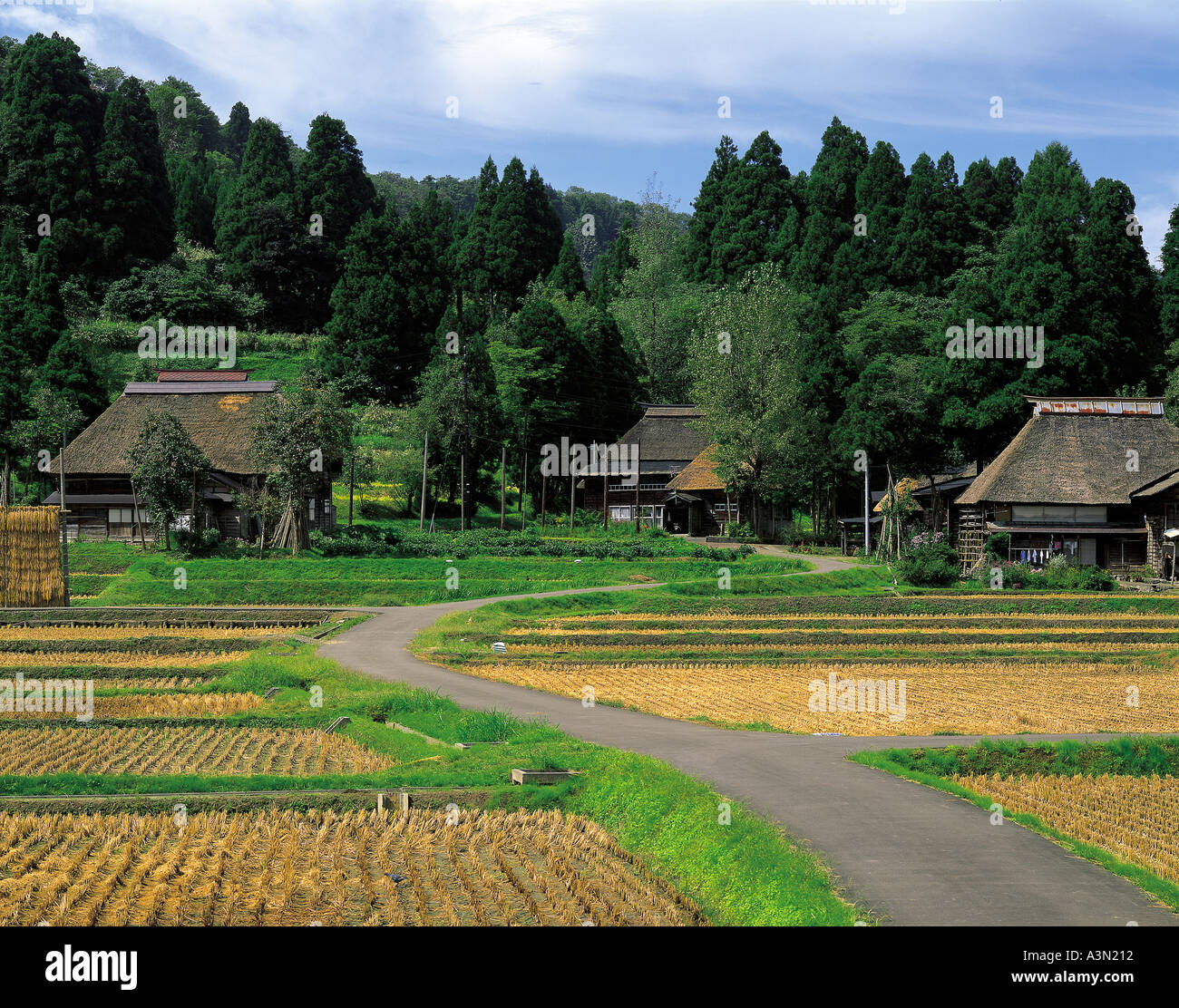 Path Building Trees Sky Houses Forests Crops Stock Photo - Alamy