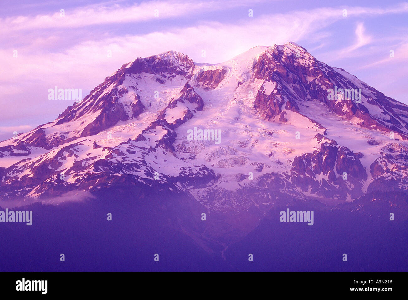 Evening light on Mt Rainier Stock Photo - Alamy
