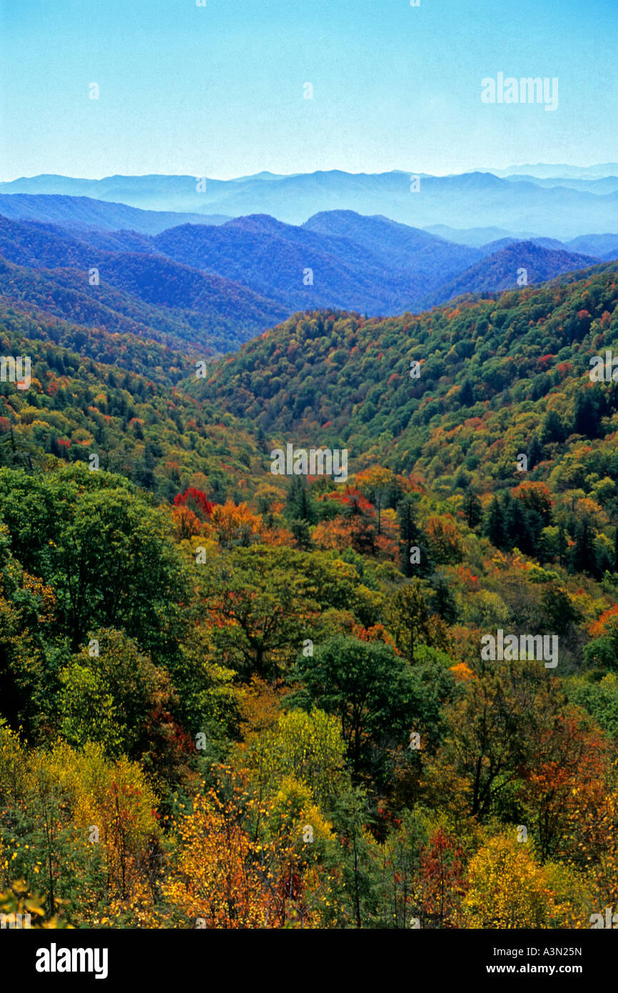 East ridge tennessee hi-res stock photography and images - Alamy