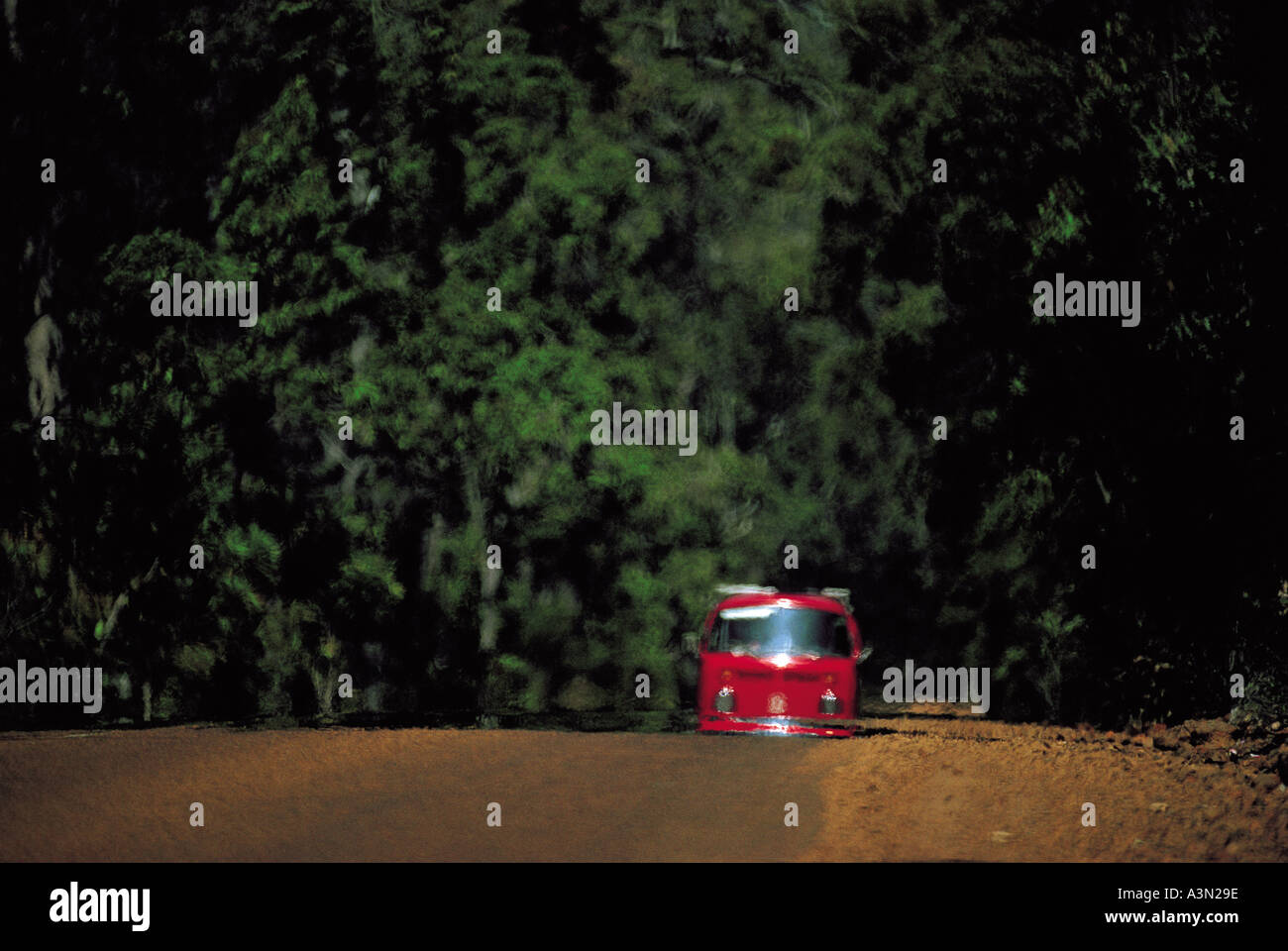 Road Cars Trees Forests Stock Photo - Alamy