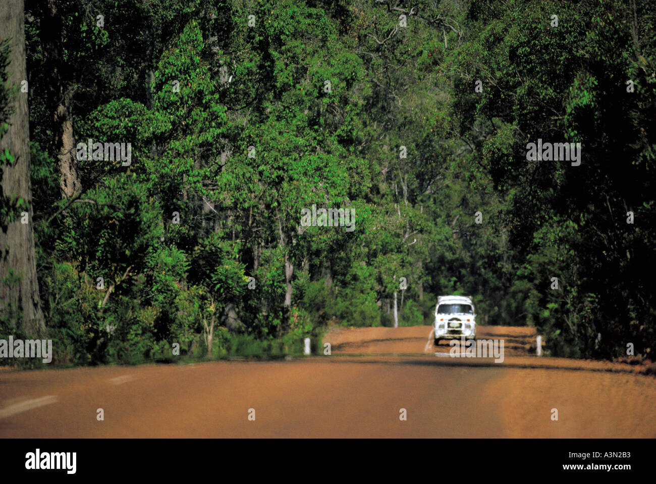 Road Transportation Nature Cars Trees Forests Stock Photo - Alamy