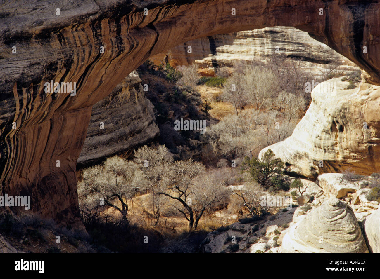 Natural Bridges National Monument in winter, Utah Stock Photo - Alamy