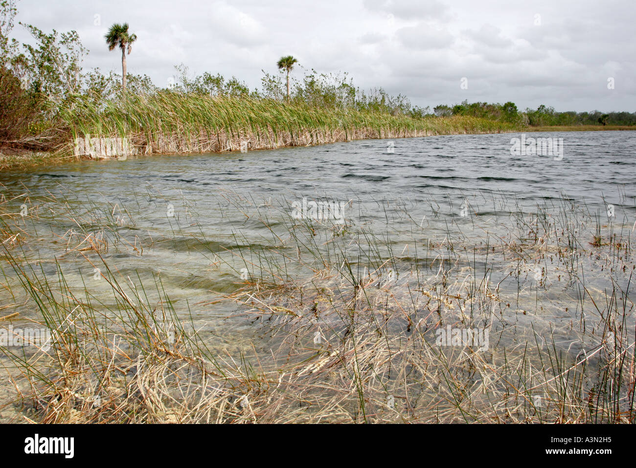 Miami Florida,Everglades National Park,Ernest Coe Visitors Center ...