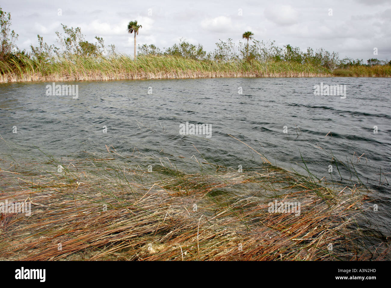 Miami Florida,Everglades National Park,Ernest Coe Visitors Center ...
