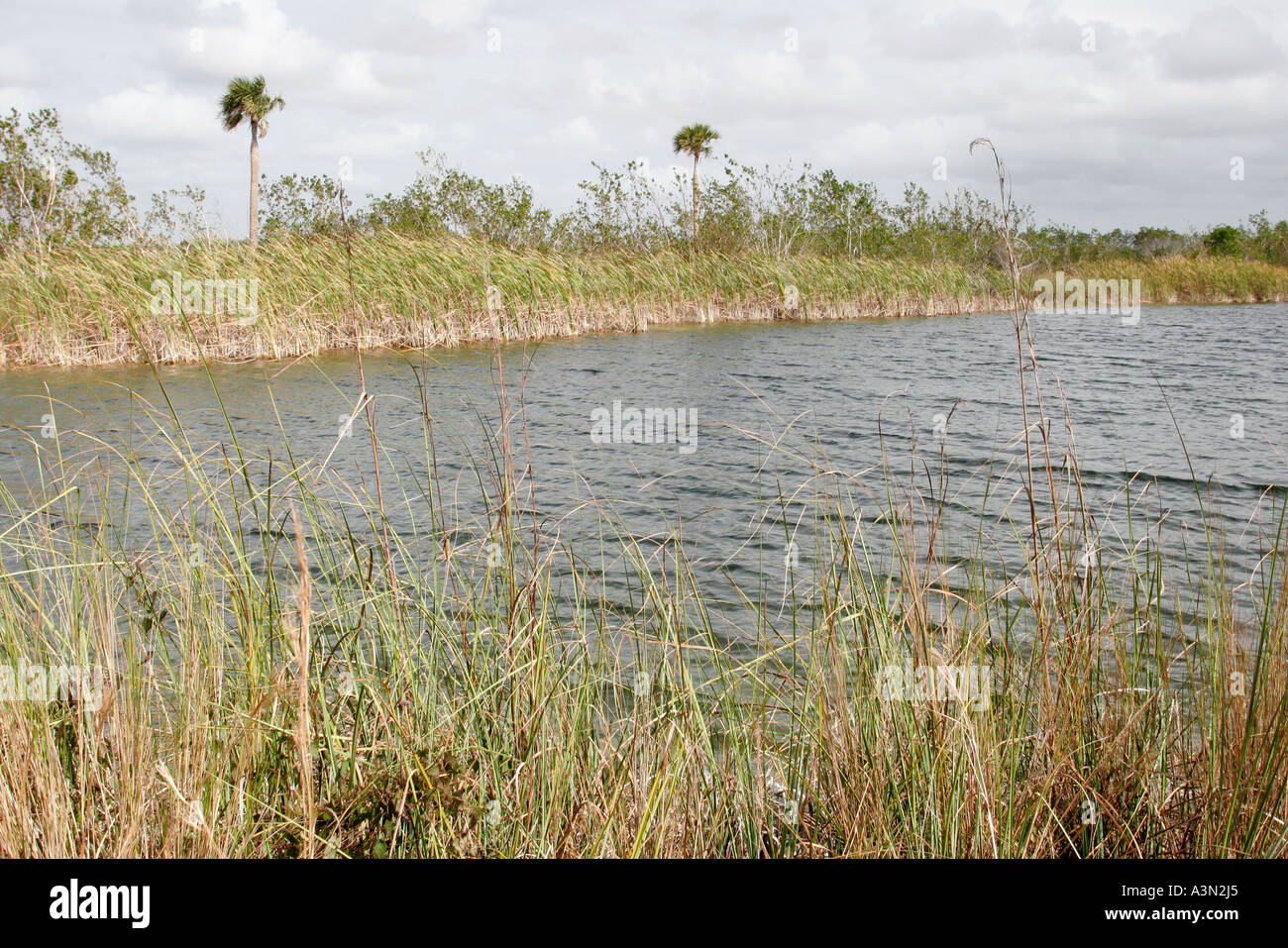 Miami Florida,Everglades National Park,Ernest Coe Visitors Center ...
