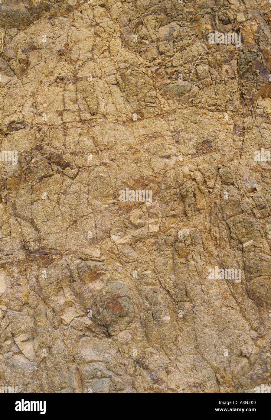 Fossils texture hi-res stock photography and images - Alamy