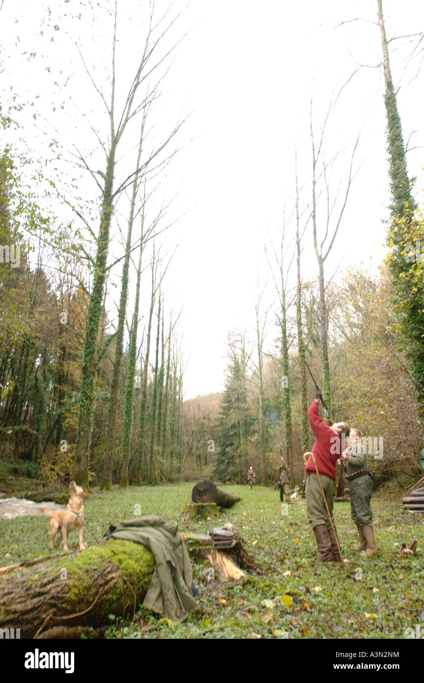 Labrador Group Shooting High Resolution Stock Photography and Images ...