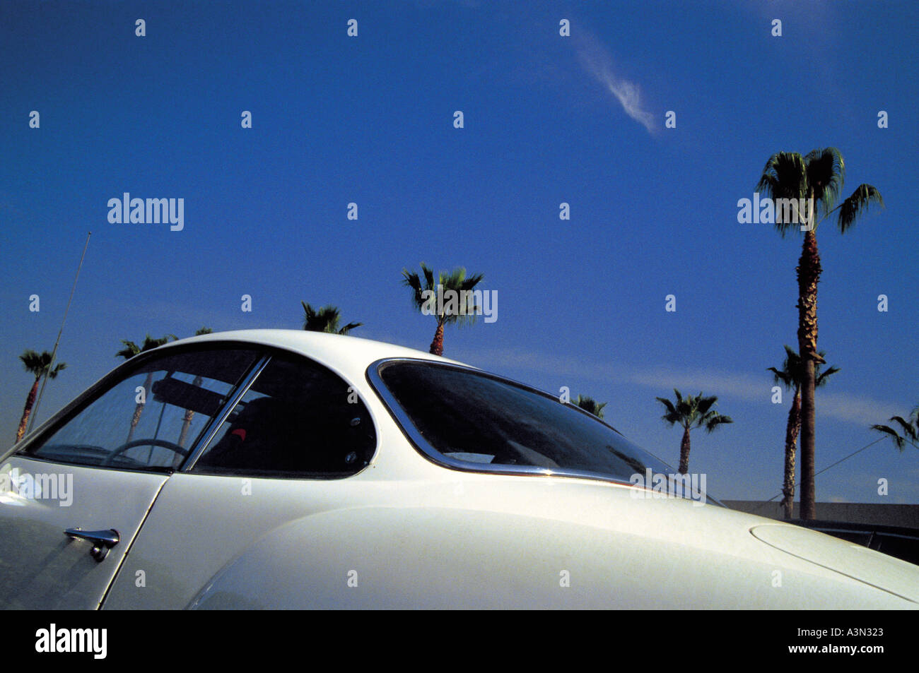 Transportation Cars Sky Palm Trees Stock Photo - Alamy