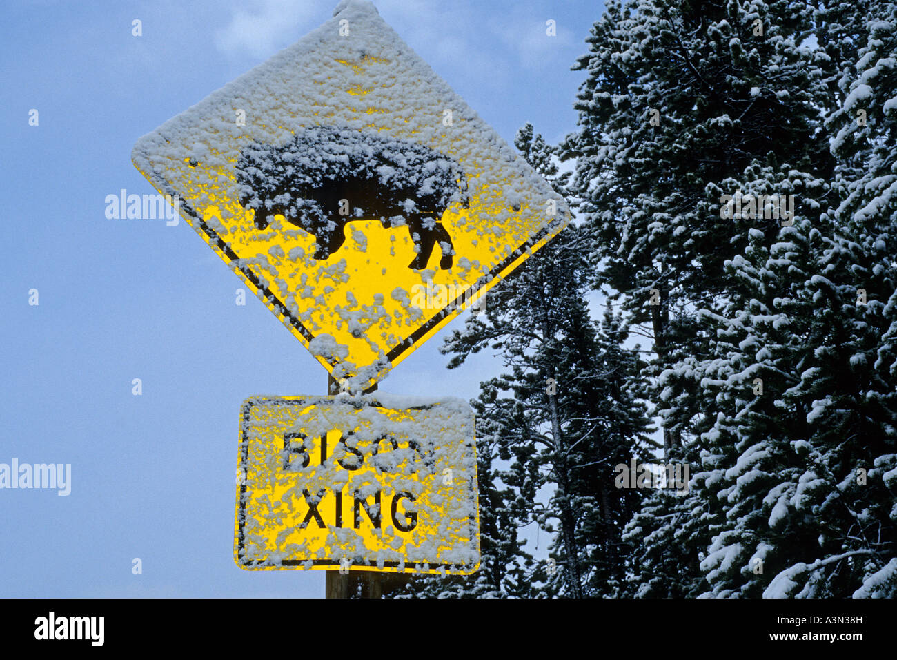 Bison Crossing sign, West Yellowstone, Montana Stock Photo - Alamy