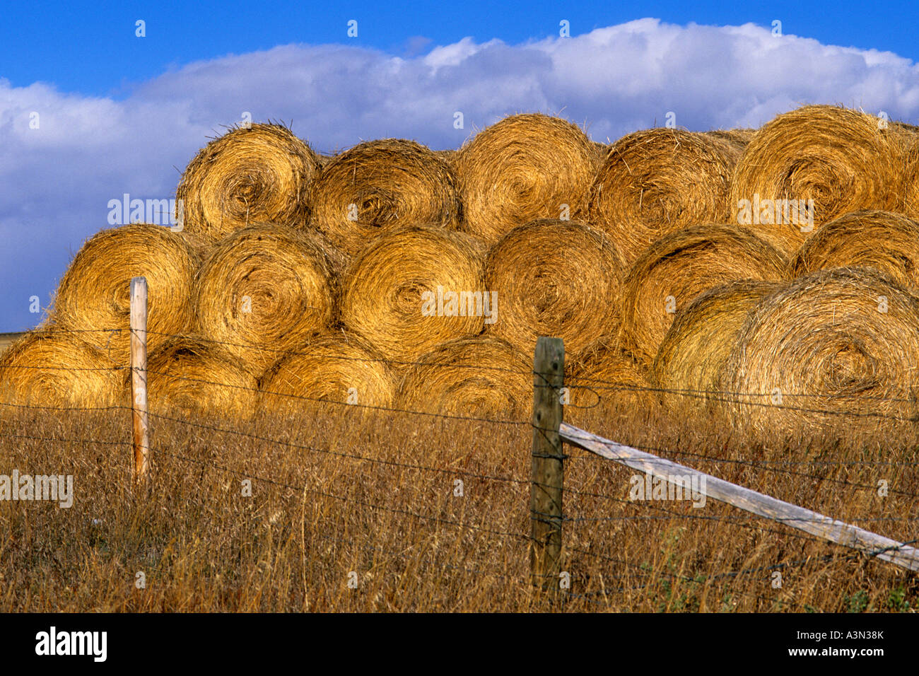 Hay bales in western Montana Stock Photo - Alamy