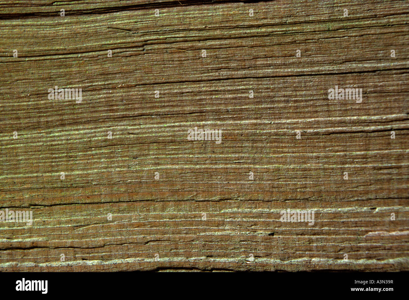 Cedar wood grain Stock Photo - Alamy